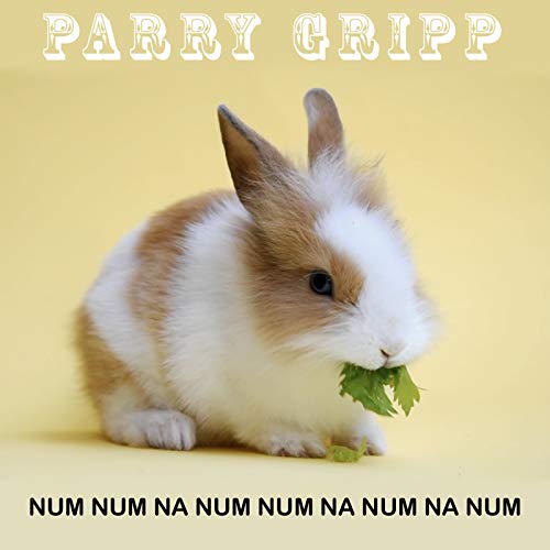 Num Num Na Num Nam Na Num Na Num song by Parry Gripp from Num Num Na ...