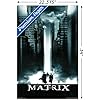 Amazon.com: Trends International The Matrix - Key Art Wall Poster, 22. ...