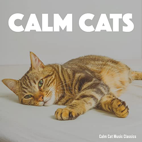 Amazon.com: Calm Cats : Calm Cat Music Classics: Digital Music