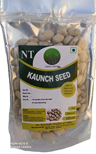 Buy Kaunch Seed | Mucuna Pruriens | Kapikachhu | Cowitch | 200 Gm ...