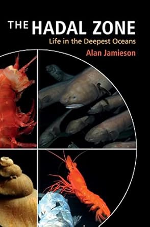The Hadal Zone: Life in the Deepest Oceans: Amazon.co.uk: Jamieson ...