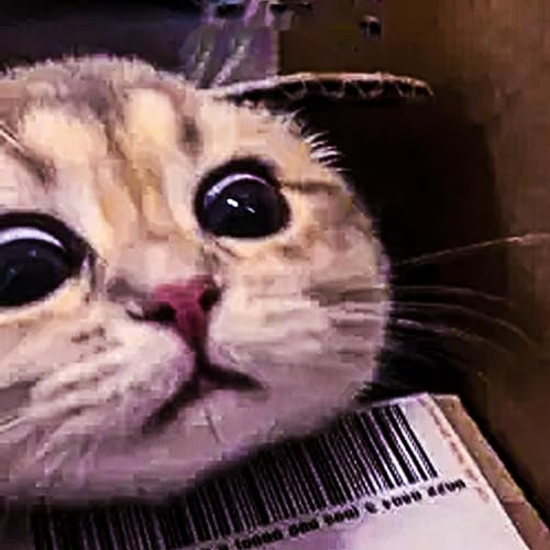 Toothless Dancing (Phonk House) Song von Censoreee aus dem Album ...