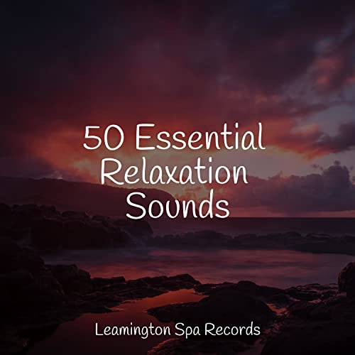 Amazon MusicでSoothing Chill Out for Insomnia, Sonidos de lluvia para dormir & 深い睡眠リラクゼーションの50 ...