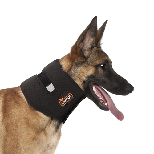 Dog Neck Brace – The 15 best products compared - Wild Explained