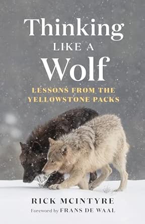 Thinking Like a Wolf: Lessons From the Yellowstone Packs (The Alpha ...