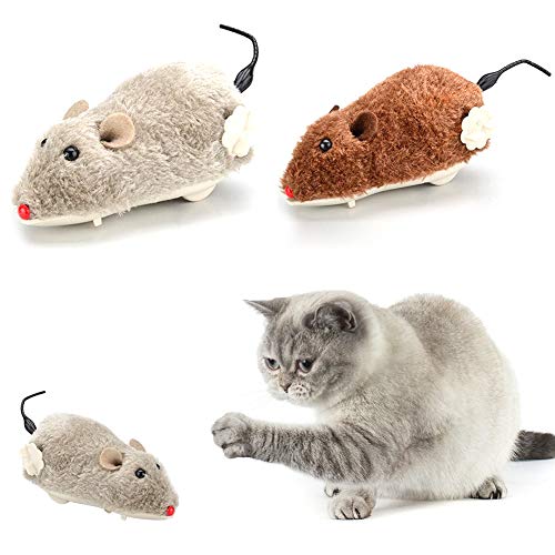 Migliori topolino a molla per gatti - Guida alla scelta