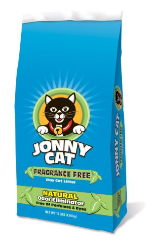 Clay Litter – The 15 best products compared - Wild Explained