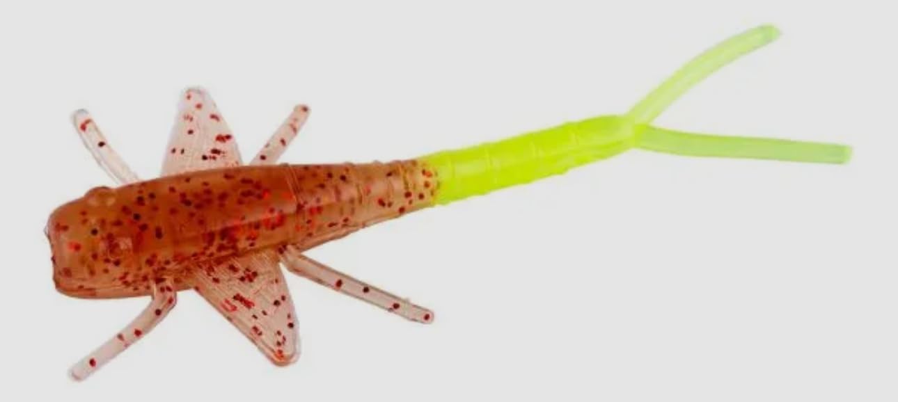 Amazon.com : Bobby Garland Itty Bit Mayfly Soft Bait - Crappie Lure ...