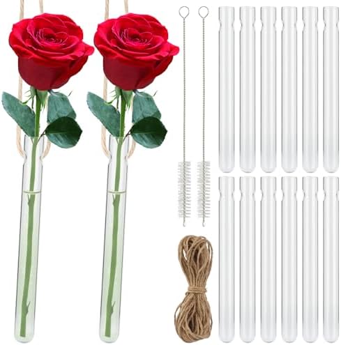 Amazon.de: 12 Stück Hängende Reagenzgläser für Blumen, Vase mit Loch ...