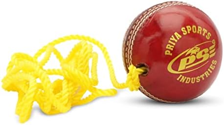 TIMA Leather Cricket Shot Practice Hanging Ball, String Cricket Ball ...