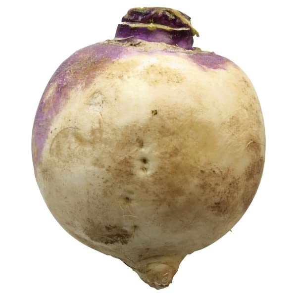 Amazon.com: The Save Mart Company, Turnips Bulk - 1 Each : Grocery ...