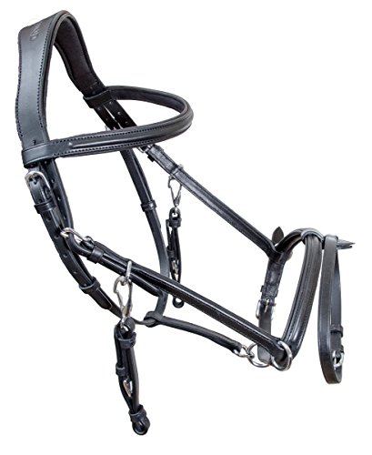 Reithalfter Gebisslos – Die 15 besten Produkte im Vergleich ...