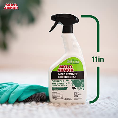 The 19 Best Mold Control Spray of 2025 [Verified] - Cherry Picks