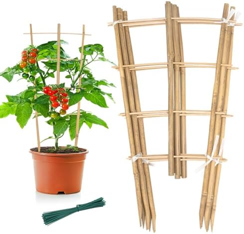 Amazon.com : Taoskai 10 Pack 16" Bamboo Trellis for Climbing Plants ...