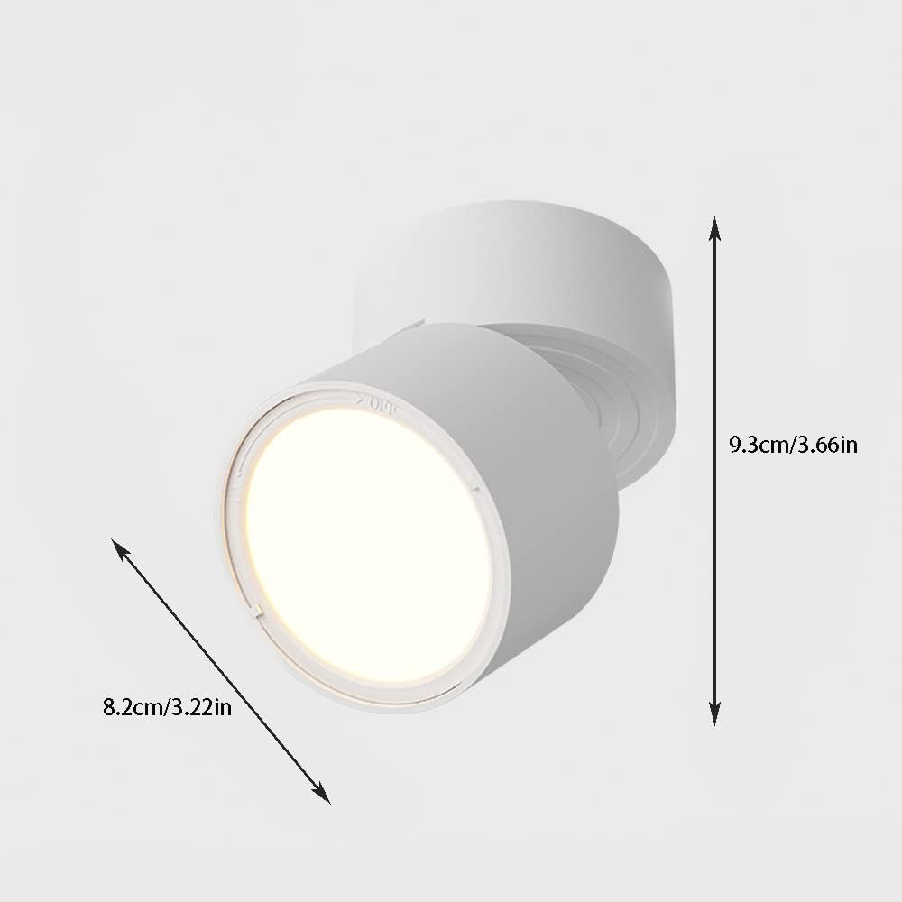 Buy FUMEZU Surface Mounted Downlights, Living Room Porch Aisle ...