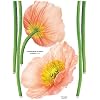 Orange Poppy - Mural - Wall Stickers Home Art Deco Wall Decals : Amazon ...