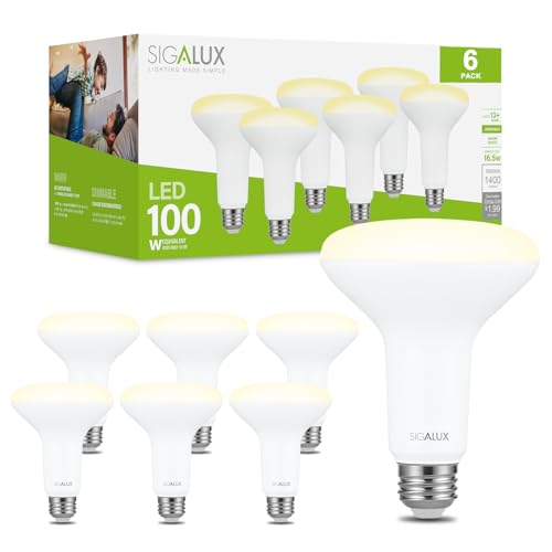 The 10 Best Br30 Led Light Bulbs