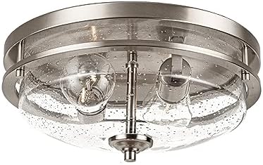 Hopejoy 2-Light Flush Mount Ceiling Light Fixture, Light Fixtures ...