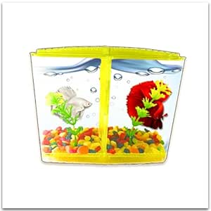 Double Betta Fish Tank for Aquarium kit - (Stylish Portable Table ...