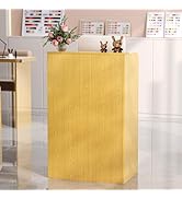 Amazon.com: OmySalon Reception Desk with Counter, Small Front Desk w ...