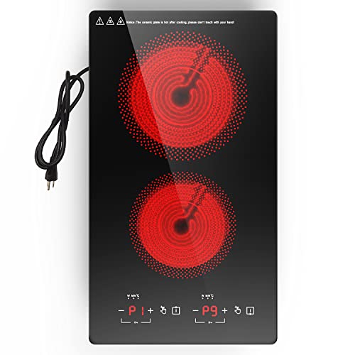 Find The Best Plug In Electric Cooktop Reviews & Comparison - Katynel