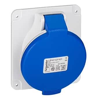 Schneider PratiKa Socket - Screw - Angled - 32A - 2P + E - 200 to 250 V ...