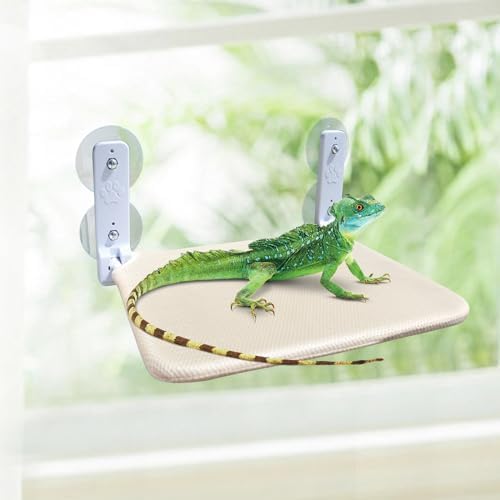 Amazon.com : Bearded Dragon Hammock, Lizard Window Perch, Wooden ...