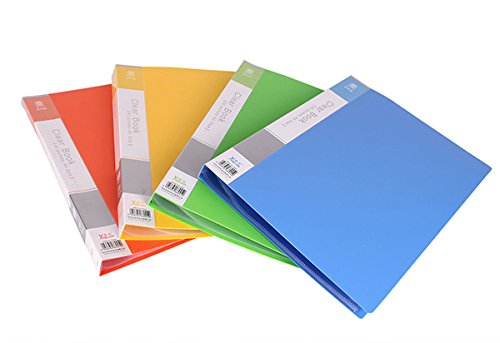 Display Clear Book File A4-30 Pockets (Set of 2) : Amazon.in: Office ...