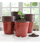 Amazon.com: RooTrimmer 40 Pack 4 Inch Plant Nursery Pots with Mesh Pad ...