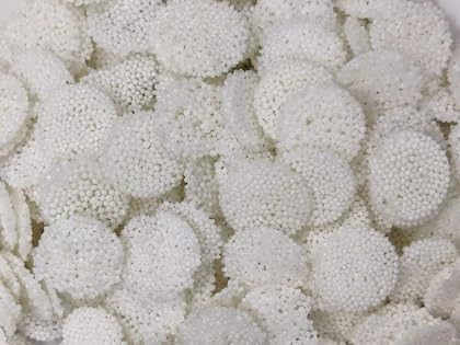 APLENTY Sabudana Coin Papad Plain - 400gm | Vrat/Fast Special Small ...