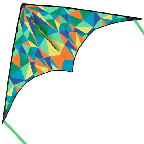 10 Best Kites for Beginners to Soar High in the Sky