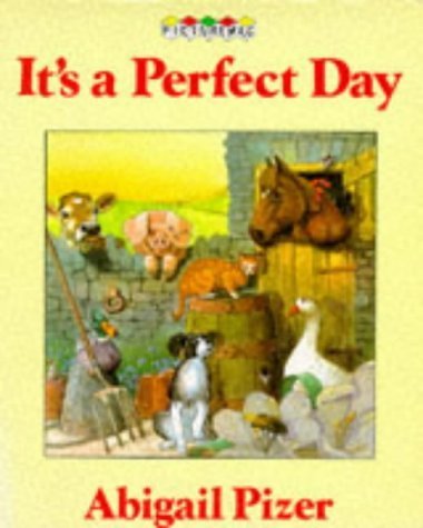 It's a Perfect Day: Pizer, Abigail: 9780333566114: Amazon.com: Books