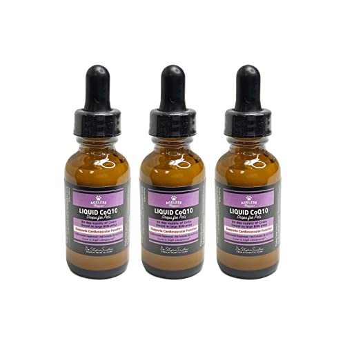 Find The Best Coenzyme Q10 For Cats Reviews & Comparison - Katynel
