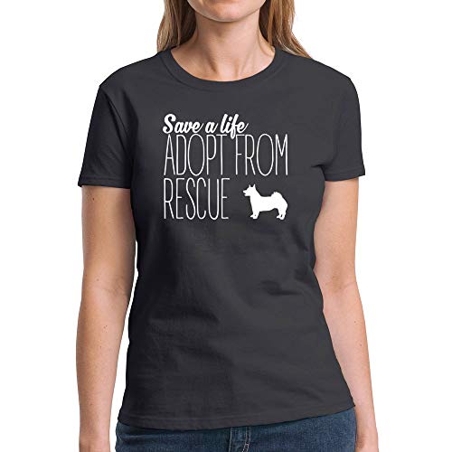 10 Must-Have Products for Your Swedish Vallhund Rescue: Our Ultimate ...