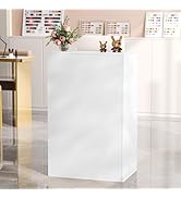 Amazon.com: OmySalon Reception Desk with Counter, Small Front Desk w ...