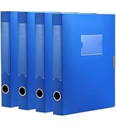 Foldable A4 Document Box With Lid, Size 31x24x4cm, Pack-4 Plastic File ...