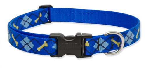 Lupine Dog Collars – The 15 best products compared - Wild Explained