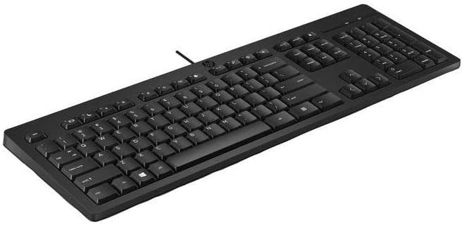 Amazon.com: HP 125 Wired Keyboard : Electronics