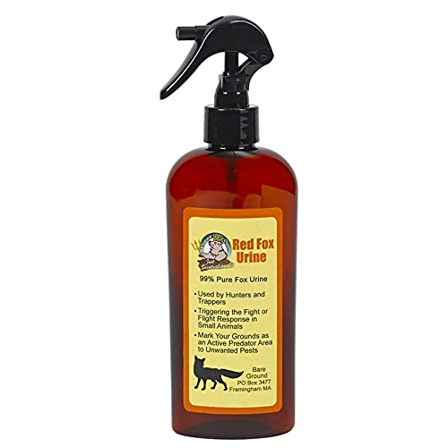 9 Ways to Get Rid of Water Snakes (Snake Repellents) - Pond Informer