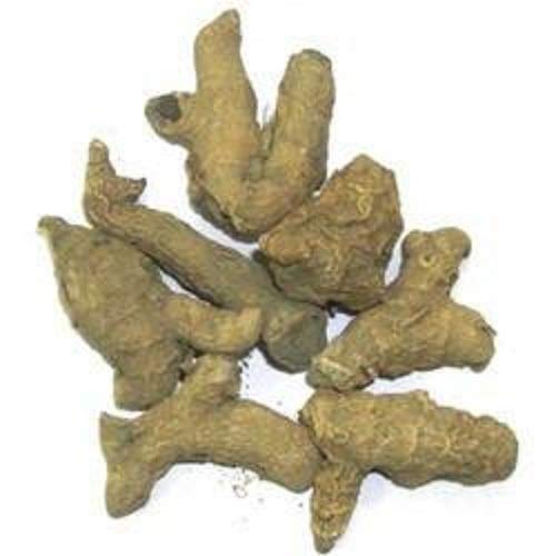 Vinarghya – Pure/Original/Natural Kali/Black Haldi Turmeric for Pooja ...