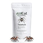ecoEat Edible Tarantula Spider - 100% Edible Bug Edible Dehydrated ...