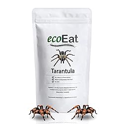 ecoEat Edible Tarantula Spider - 100% Edible Bug Edible Dehydrated ...