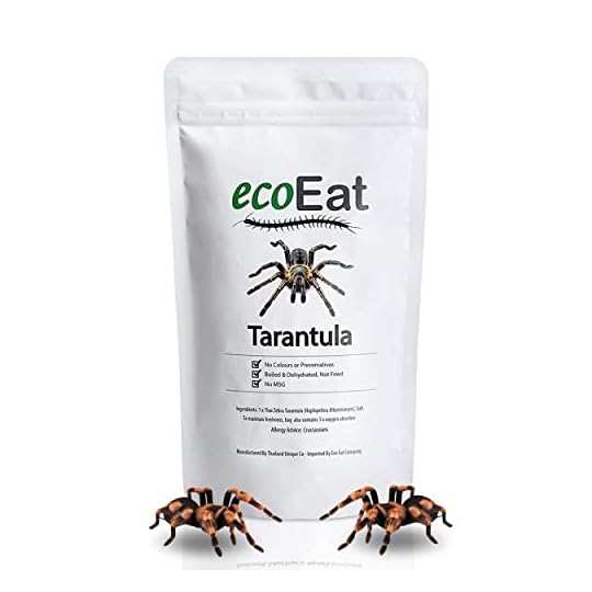 ecoEat Edible Tarantula Spider - 100% Edible Bug Edible Dehydrated ...
