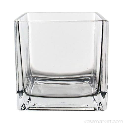 Buy Fourwalls Square Glass Vase (8 cm x 8 cm x 8 cm, Transparent, GV SQ ...