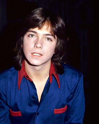 Amazon.com: David Cassidy Rare 24x36 Classic Hollywood Poster: Posters ...