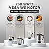 Buy Preethi Galaxy Plus Mixer Grinder for Kitchen - 4 Jars 750 Watt ...