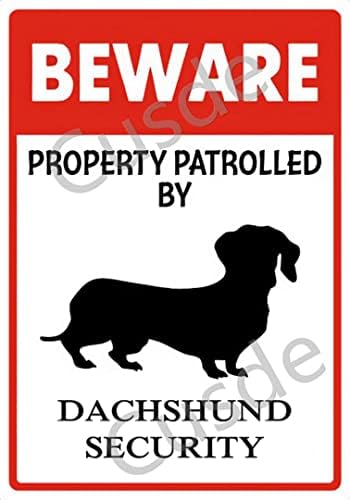 Amazon.com: Warning Sign Beware Property Patrolled by Dachshund ...