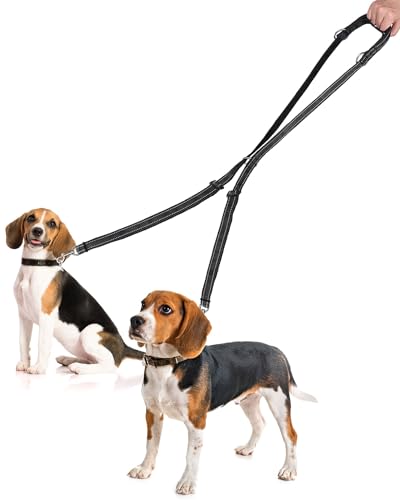 Amazon Best Sellers: Best Dog Double Leashes