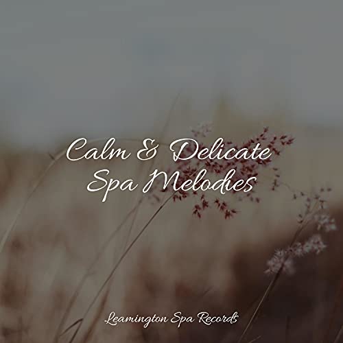 Play Calm & Delicate Spa Melodies by Guided Meditation Music Zone ...