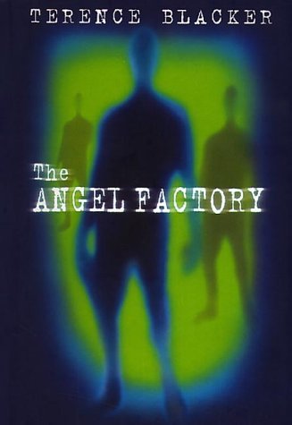 Angel Factory (hb) : Terence Blacker: Amazon.in: Books